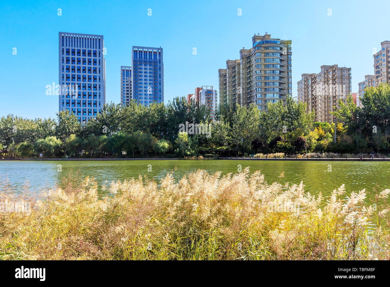 Garden-style urban living environment Stock Photo - Alamy