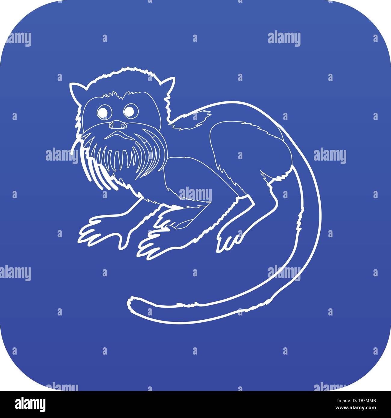 Tamarin monkey tail Stock Vector Images - Alamy