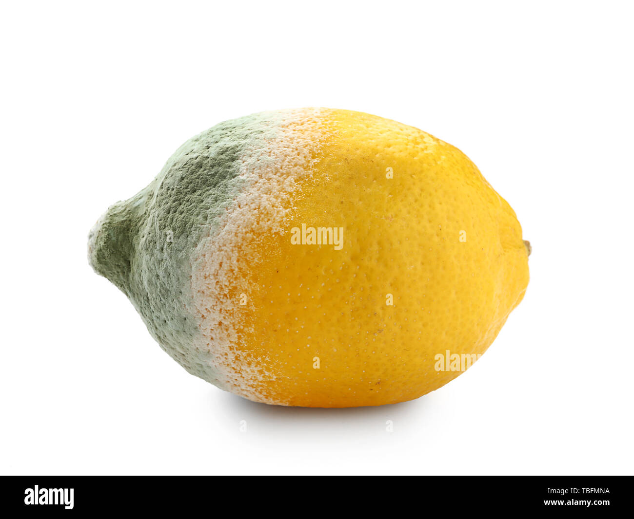 Moldy lemon on white background Stock Photo - Alamy