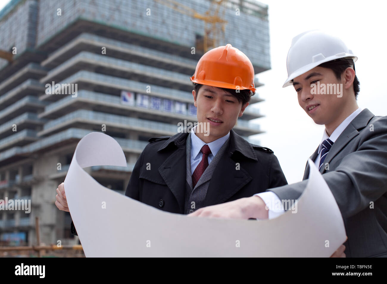 Staff at the construction site Stock Photo - Alamy