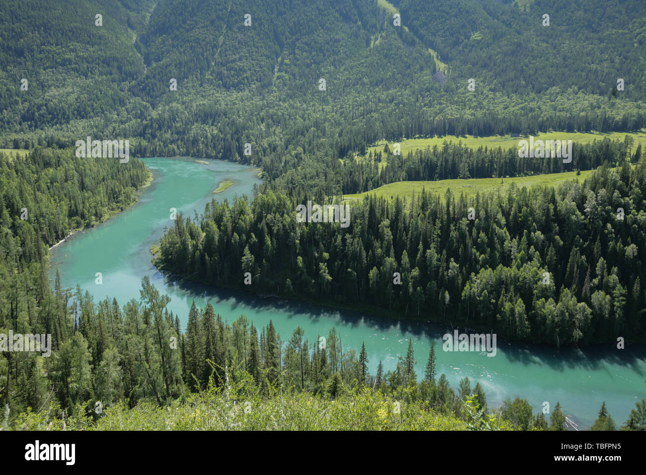 Landscape of green grassland of Kanas River in Kanas Lake, Altai ...