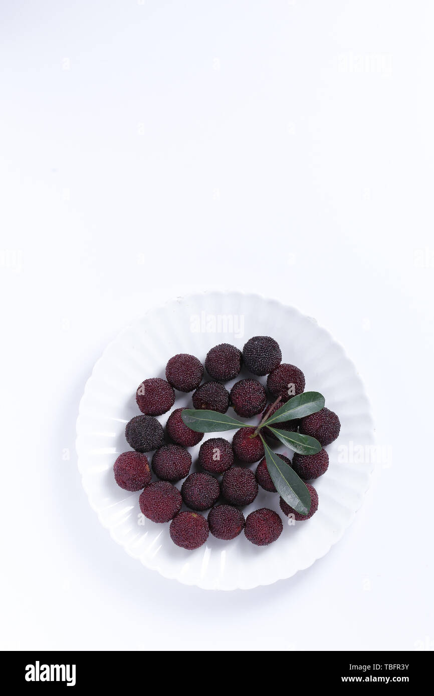 Red bayberry hi-res stock photography and images - Alamy