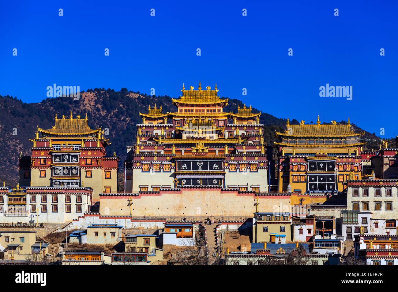 Little potala palace hi-res stock photography and images - Alamy