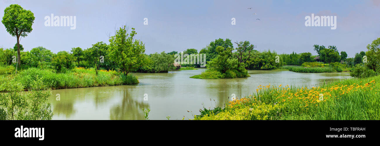 Panorama of Xixi Wetland Park in Hangzhou Stock Photo - Alamy