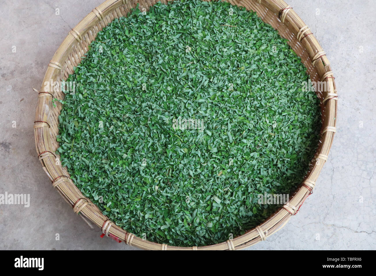 Map of yellow grass hi-res stock photography and images - Alamy