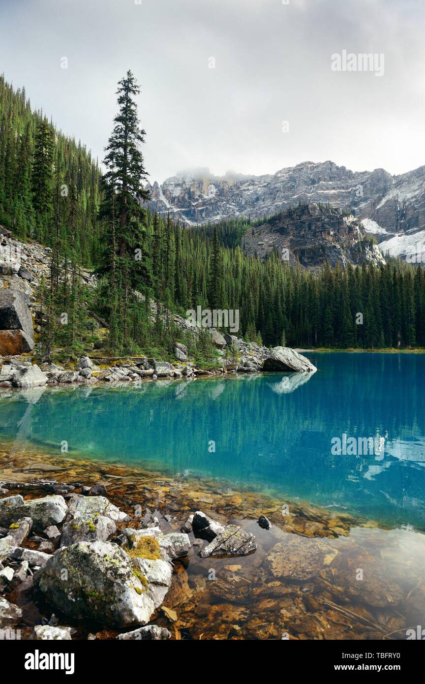 Lake O`hara, Yohu National Park, Canada Stock Photo - Alamy