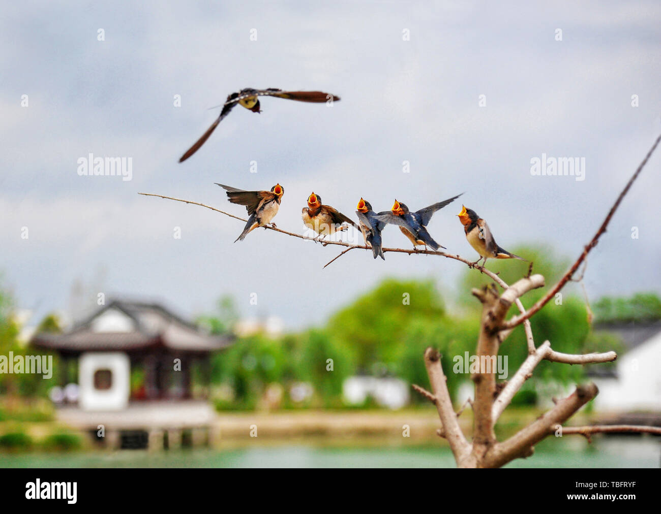 Boundless waters hi-res stock photography and images - Alamy