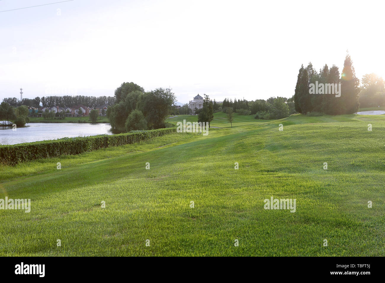 Large area of lawn green space Stock Photo - Alamy