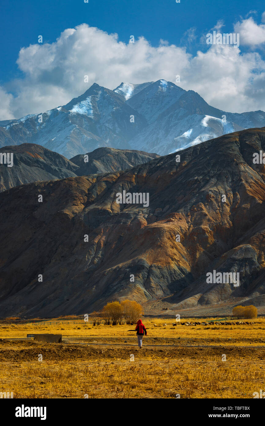 Pastoral herds hi-res stock photography and images - Alamy