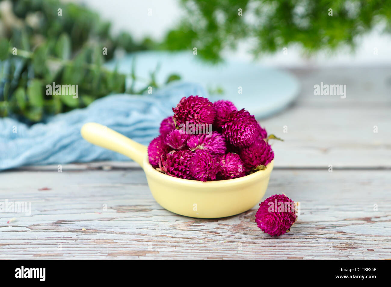 Thousand-day red flower tea Stock Photo - Alamy