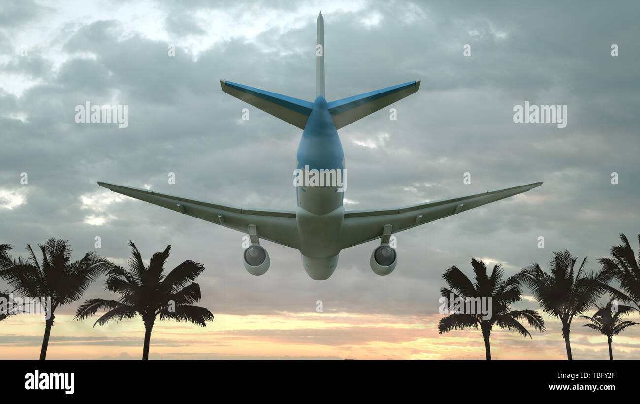 Airplane flying over palm trees hi-res stock photography and images - Alamy