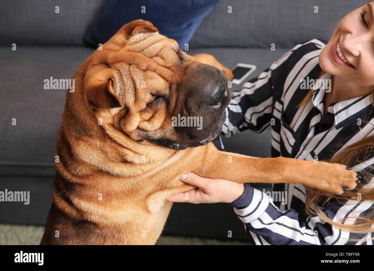 Cute funny dog with owner at home Stock Photo - Alamy