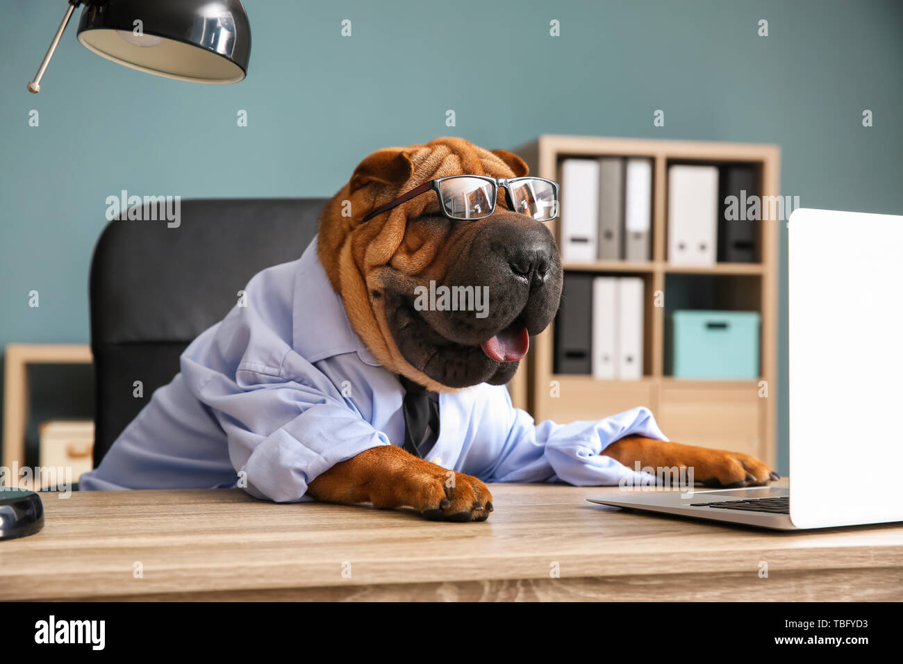 Great Job Dog Funny Dog Owners Help Their Pups Pretend They Are Doing