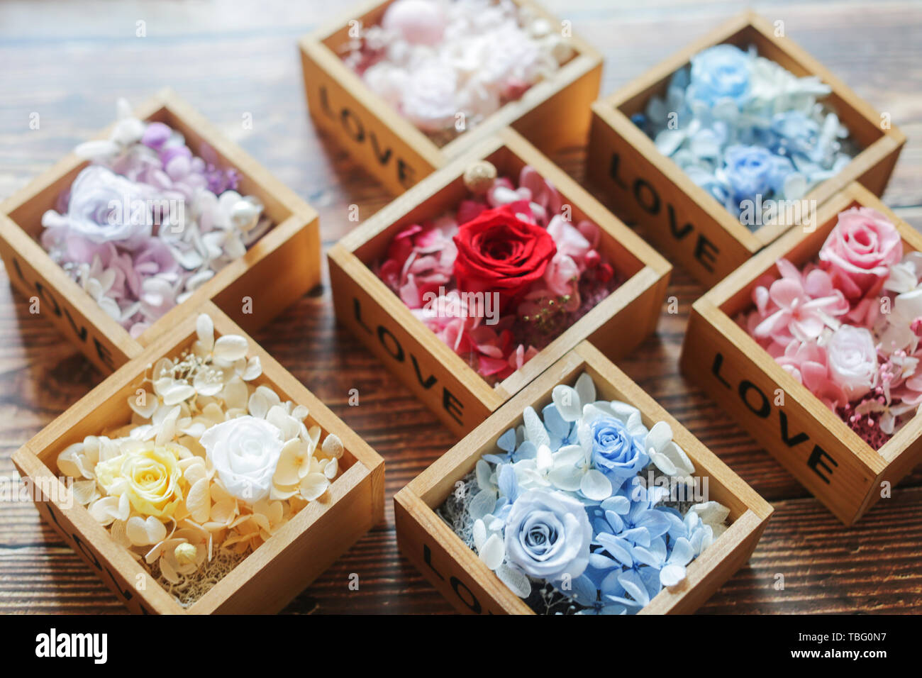 Eternal flower shape hi-res stock photography and images - Alamy