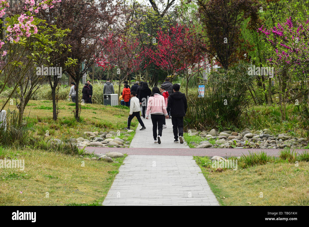 Spring is green Stock Photo - Alamy