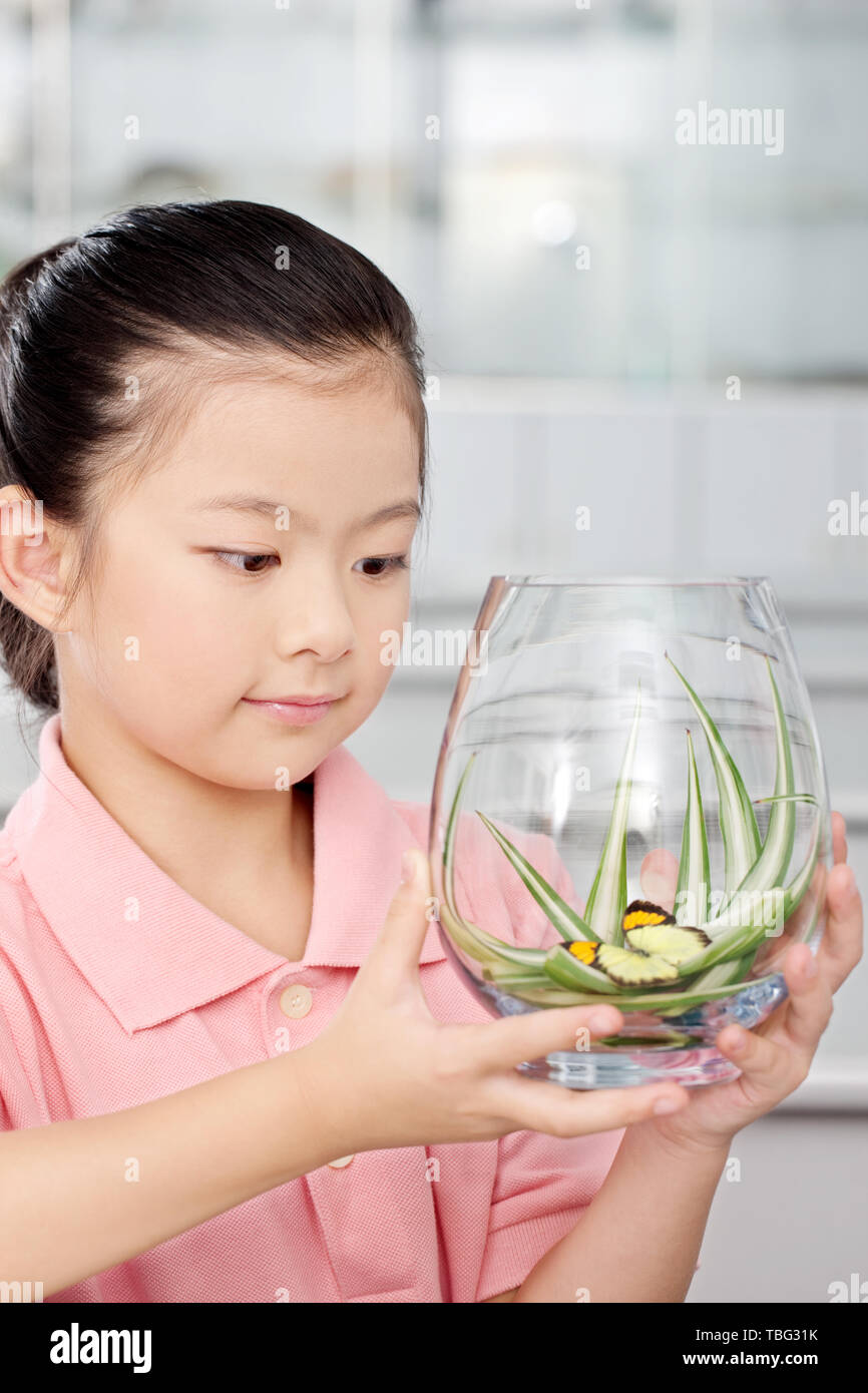 Primary school students take biology class Stock Photo - Alamy
