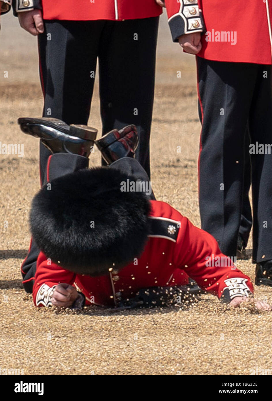A member of the Grenadier Guards collapses in the heat during the ...