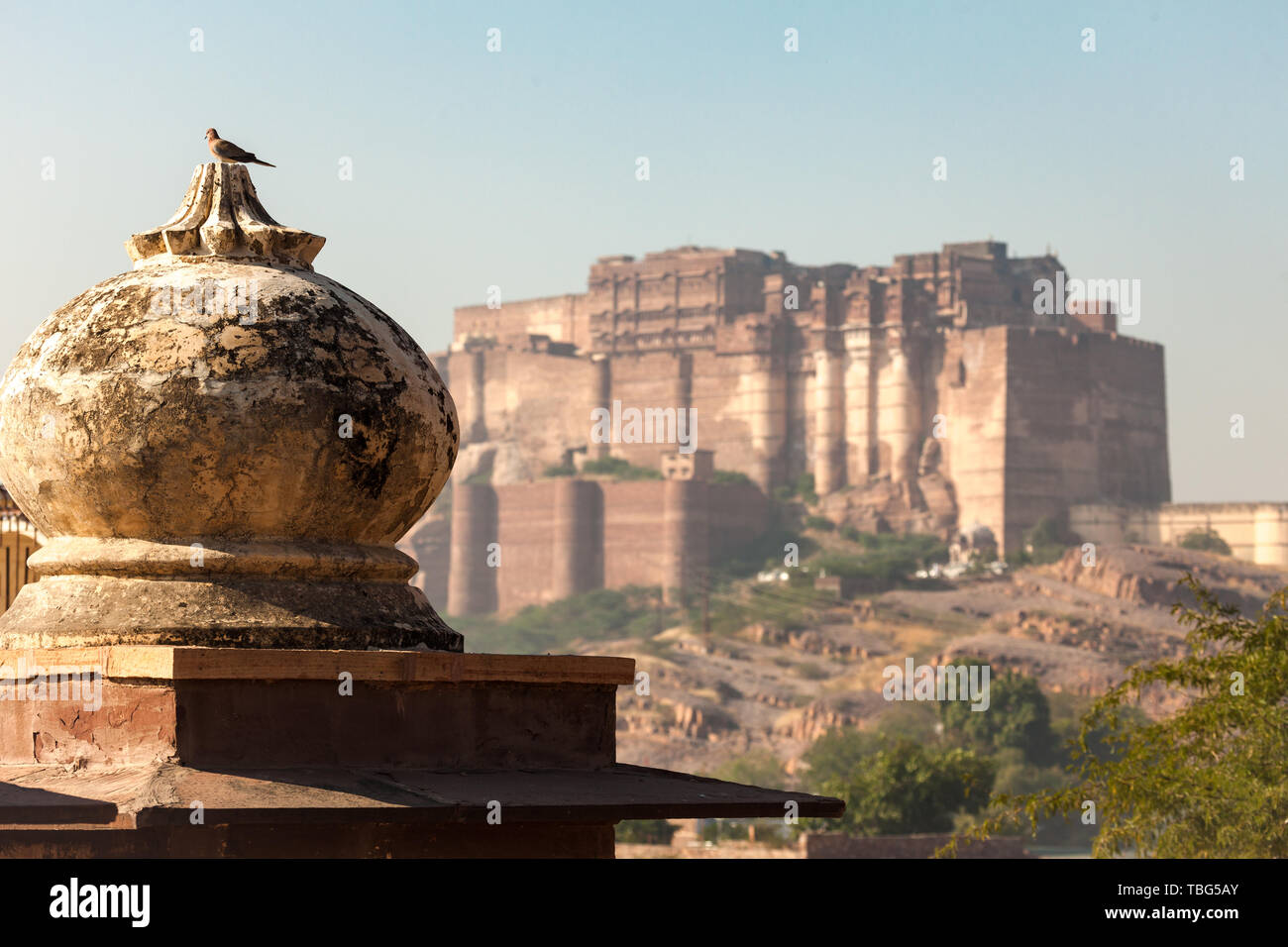 Indian citadel architecture hi-res stock photography and images - Alamy