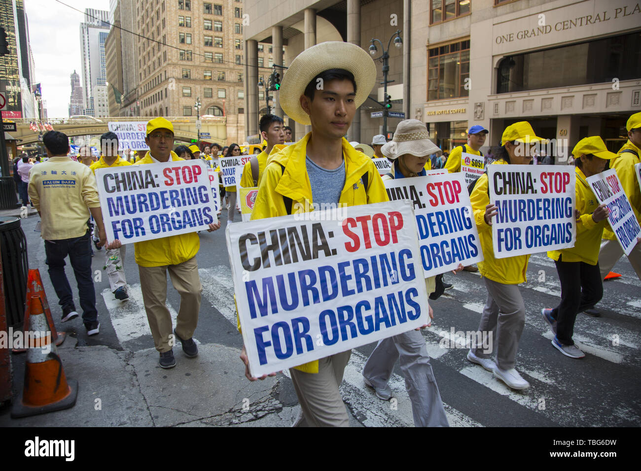 Human organs trade hi-res stock photography and images - Alamy