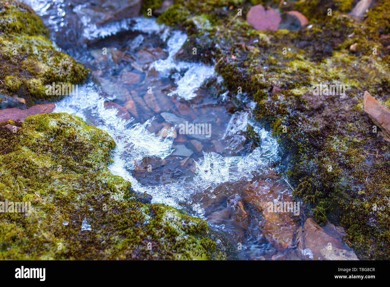 Splashing water trickle autumn hi-res stock photography and images - Alamy
