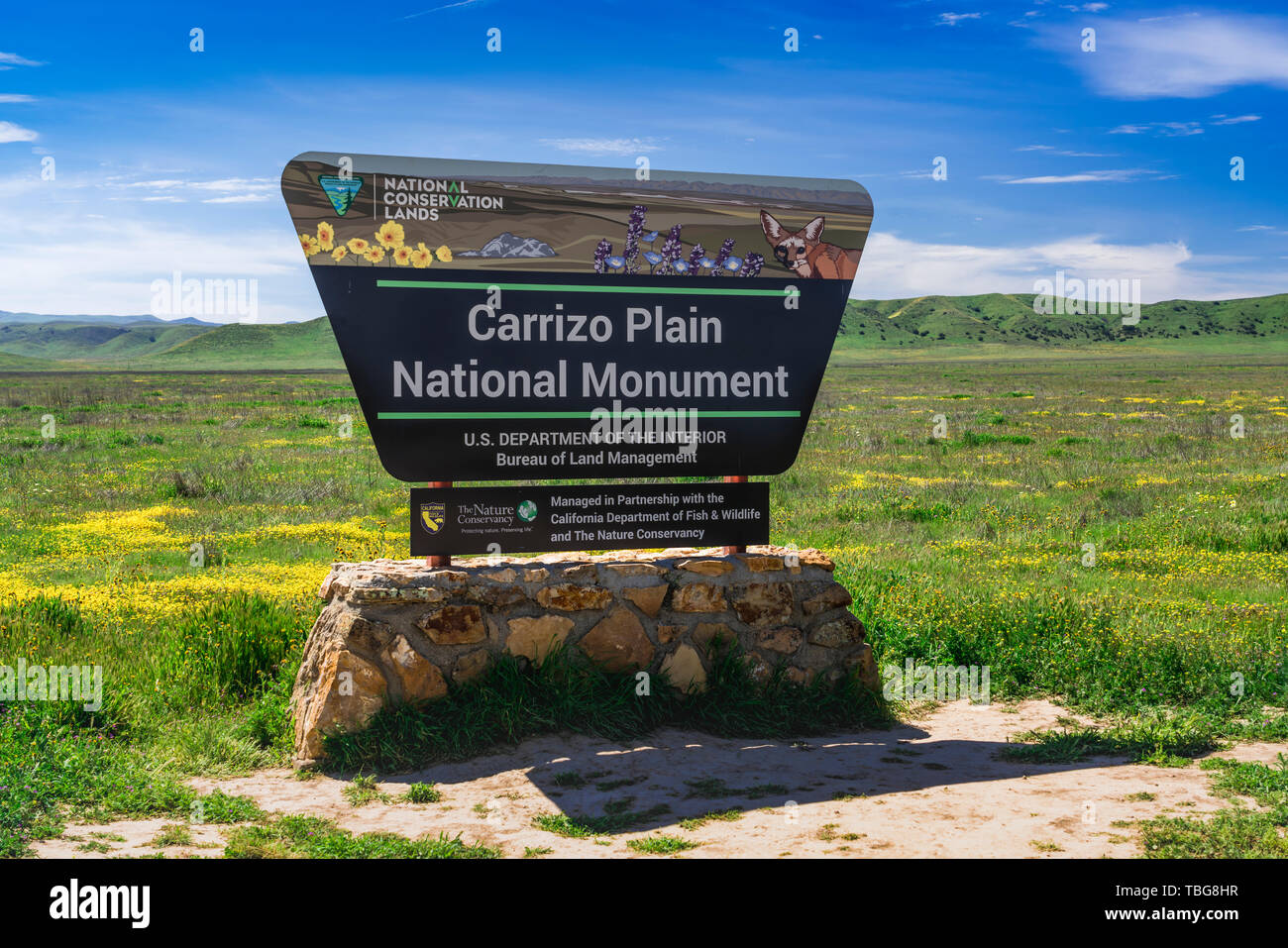 The Carizzo Plain National Monument with wildflowers of the 2019 ...