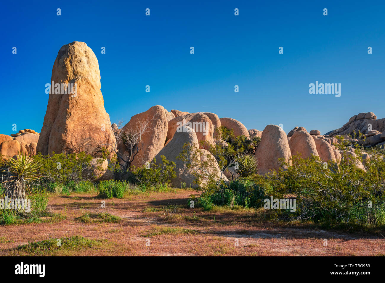 Rock piles in Joshua Tree National Park, California, USA Stock Photo ...