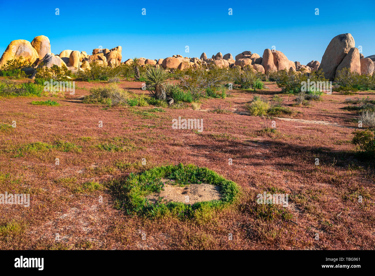 Rock piles hi-res stock photography and images - Alamy
