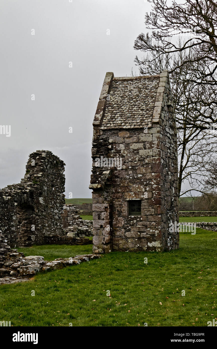 Abbey of luce hi-res stock photography and images - Alamy