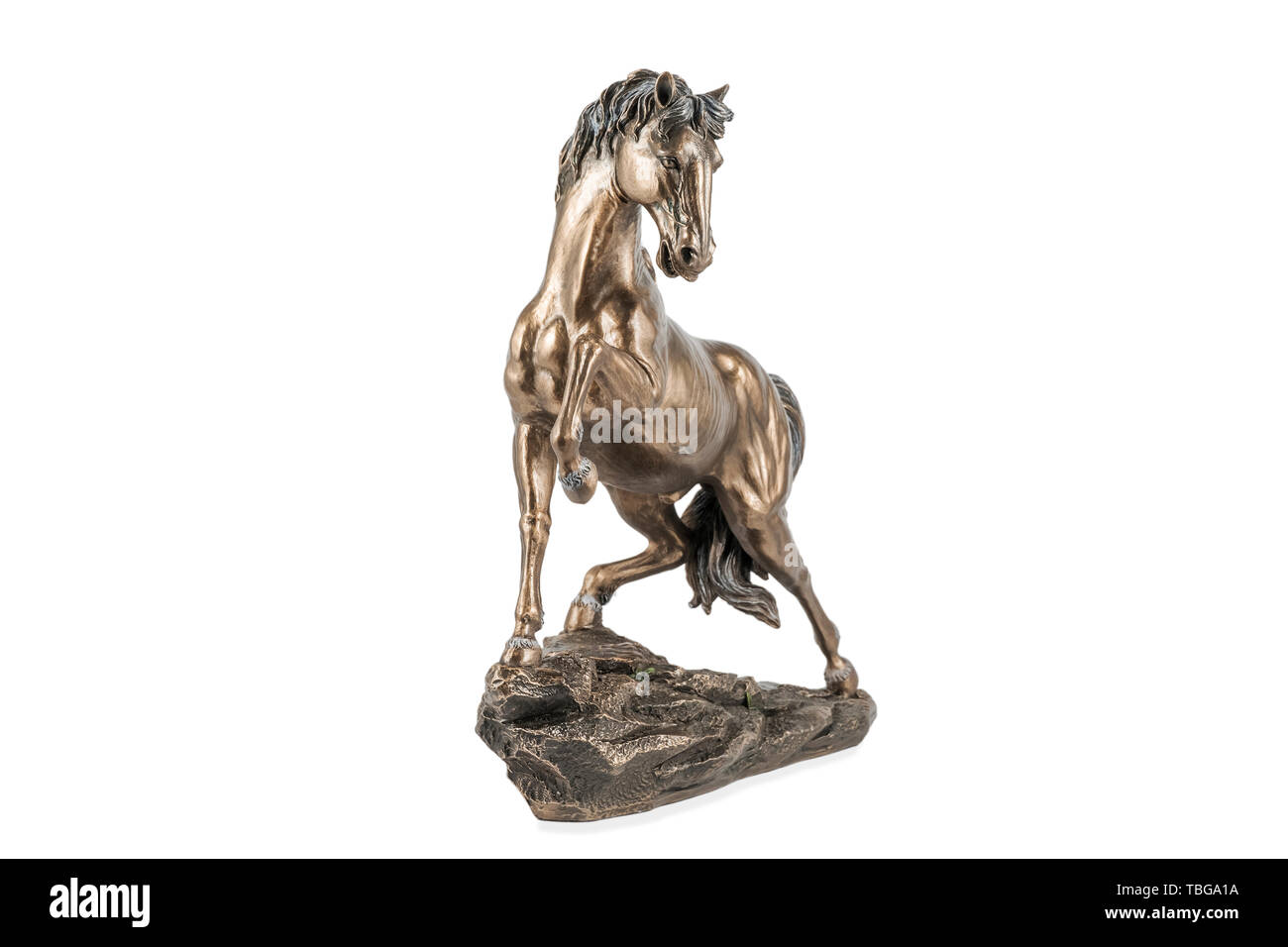 Brown horse tail raised hi-res stock photography and images - Alamy