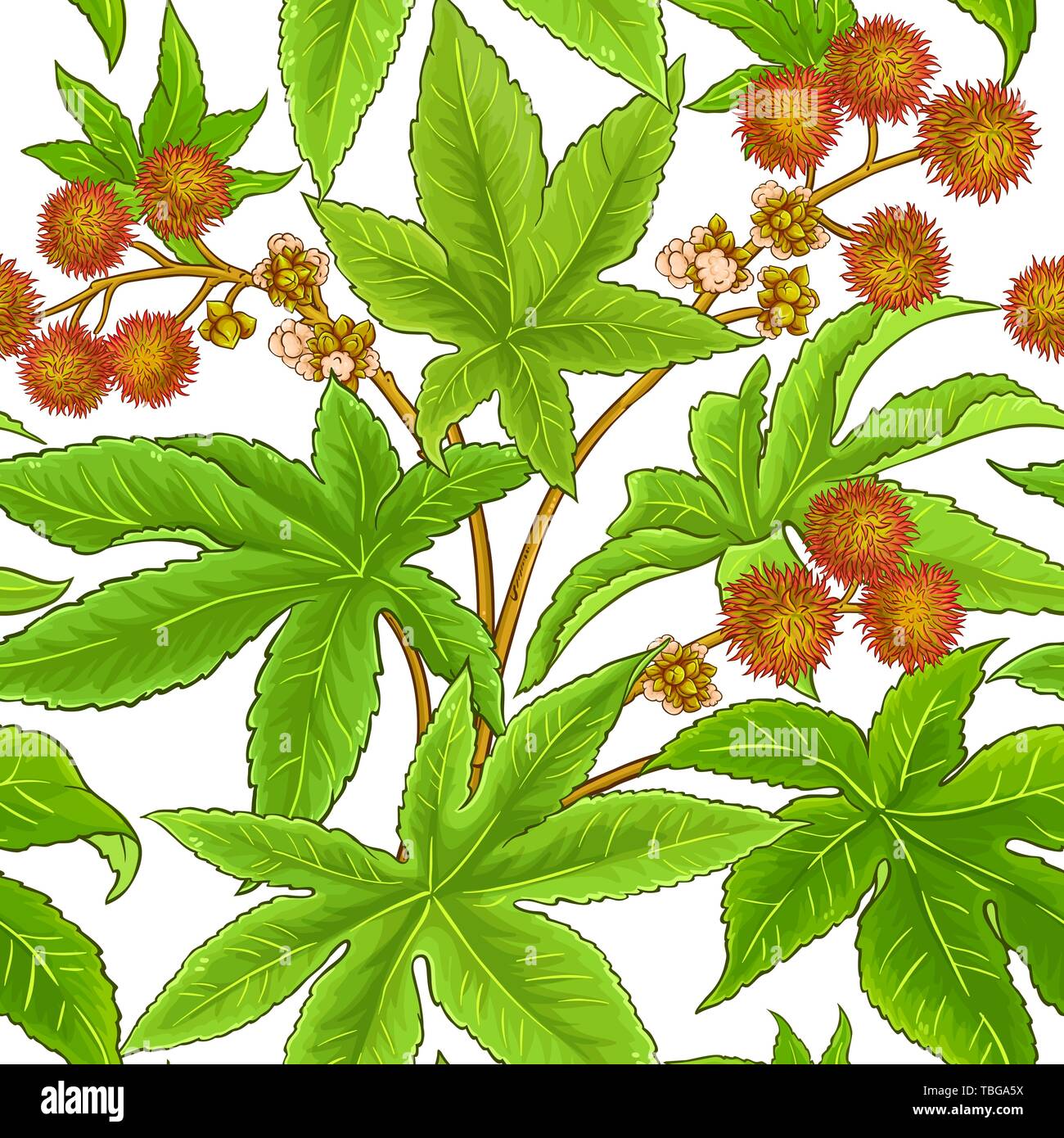 Castor tree or ricinus ricinus communis Stock Vector Images - Alamy