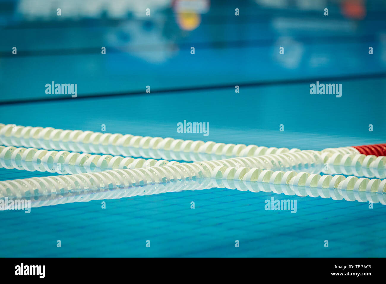 Swimming pool border lines Stock Photo - Alamy