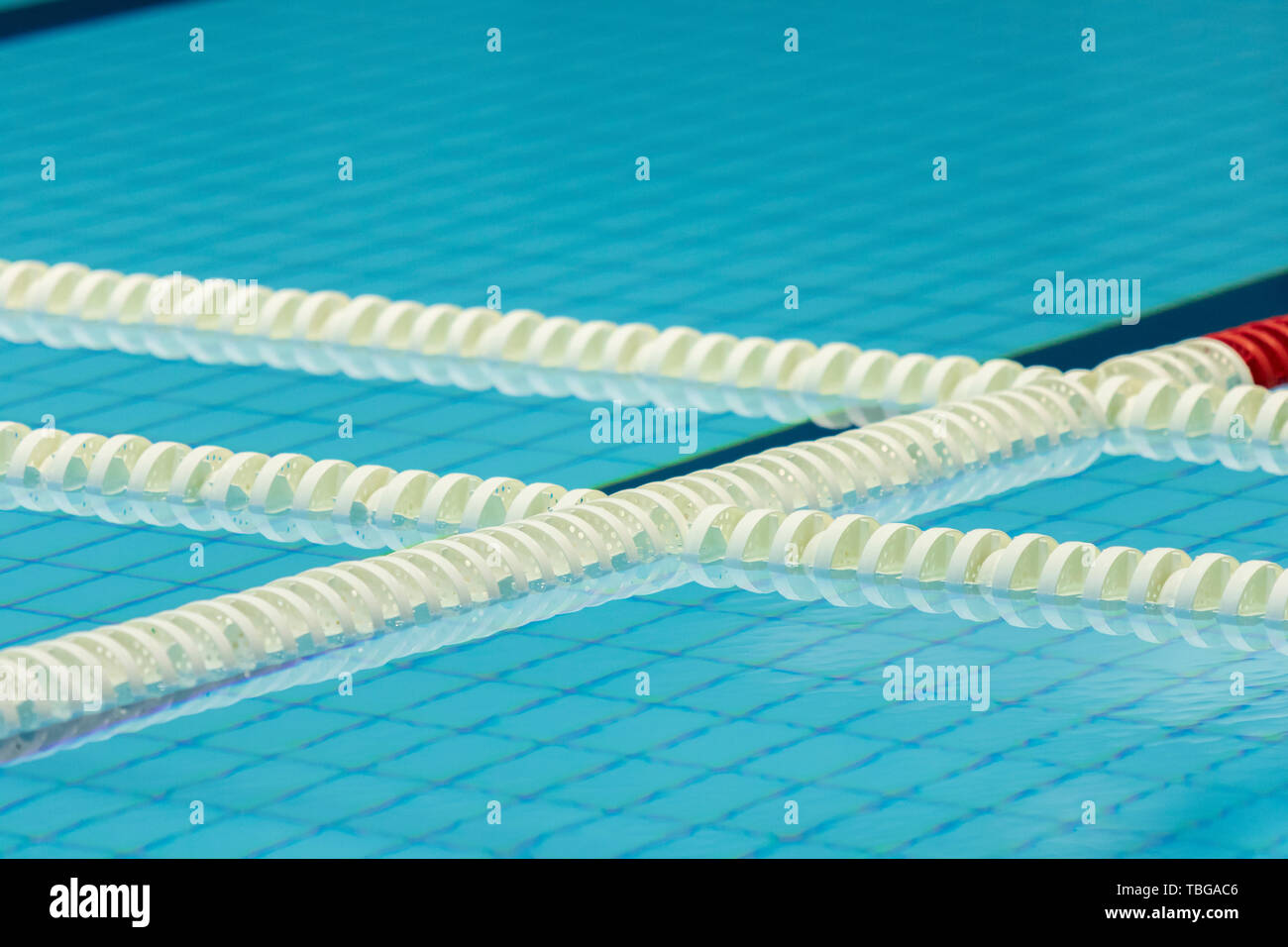 Swimming pool border lines Stock Photo - Alamy