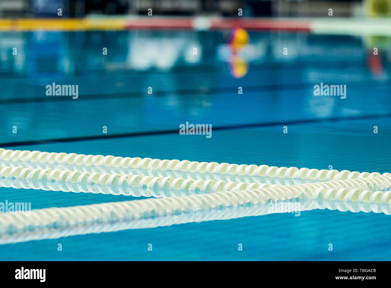 Swimming pool border lines Stock Photo - Alamy
