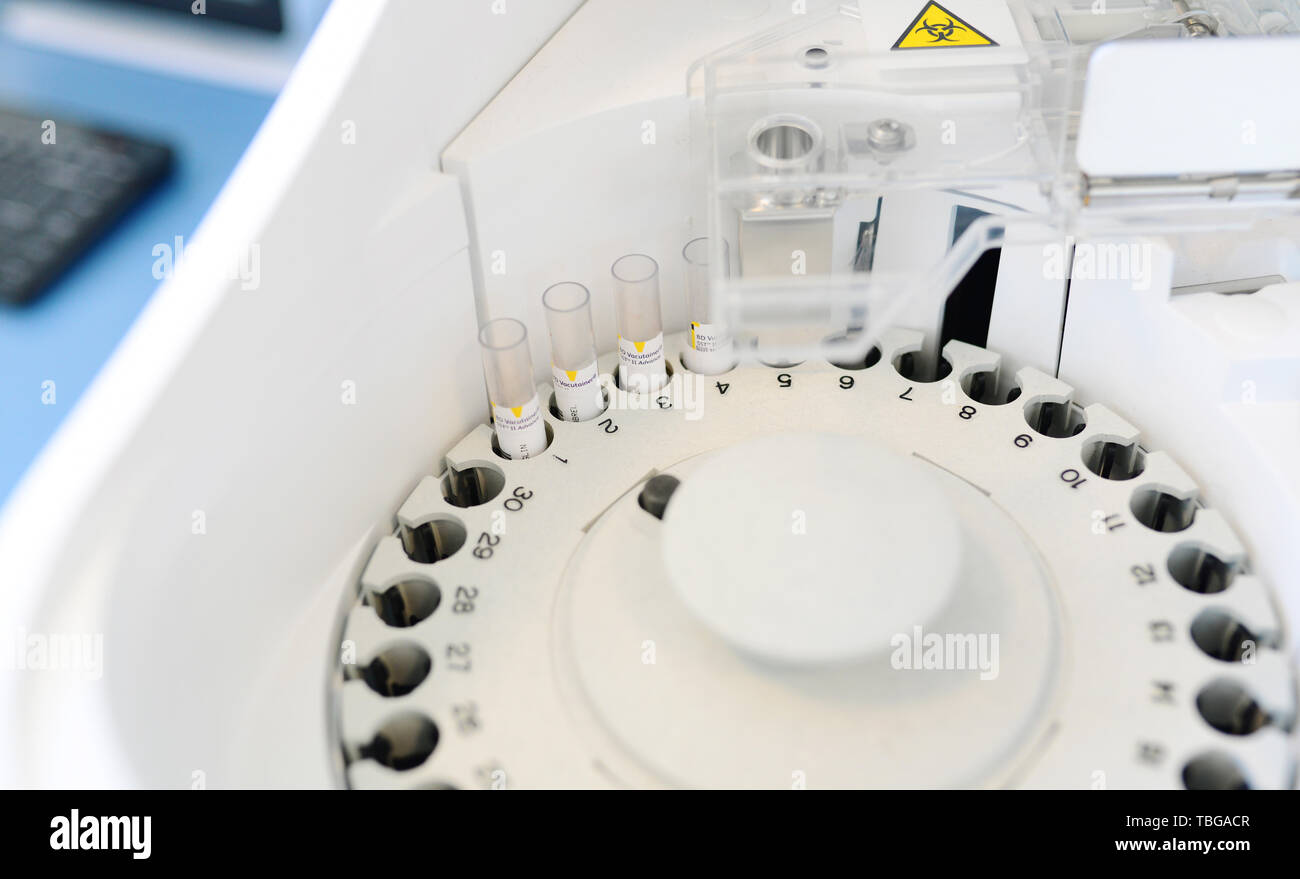 Medical clinic Pathological bacteria cultivation sample test Stock ...