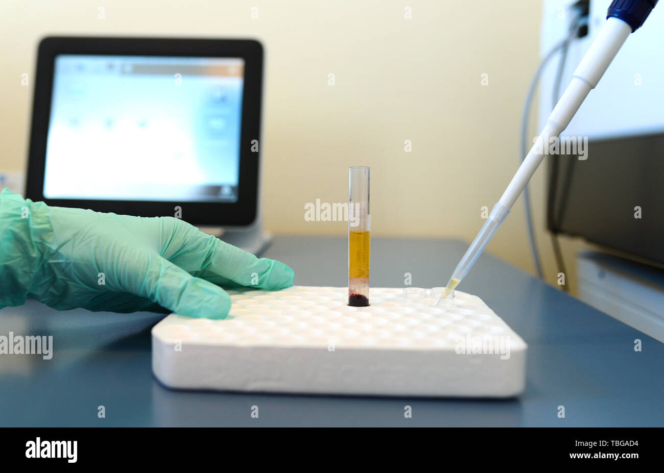 Medical clinic Pathological bacteria cultivation sample test Stock ...