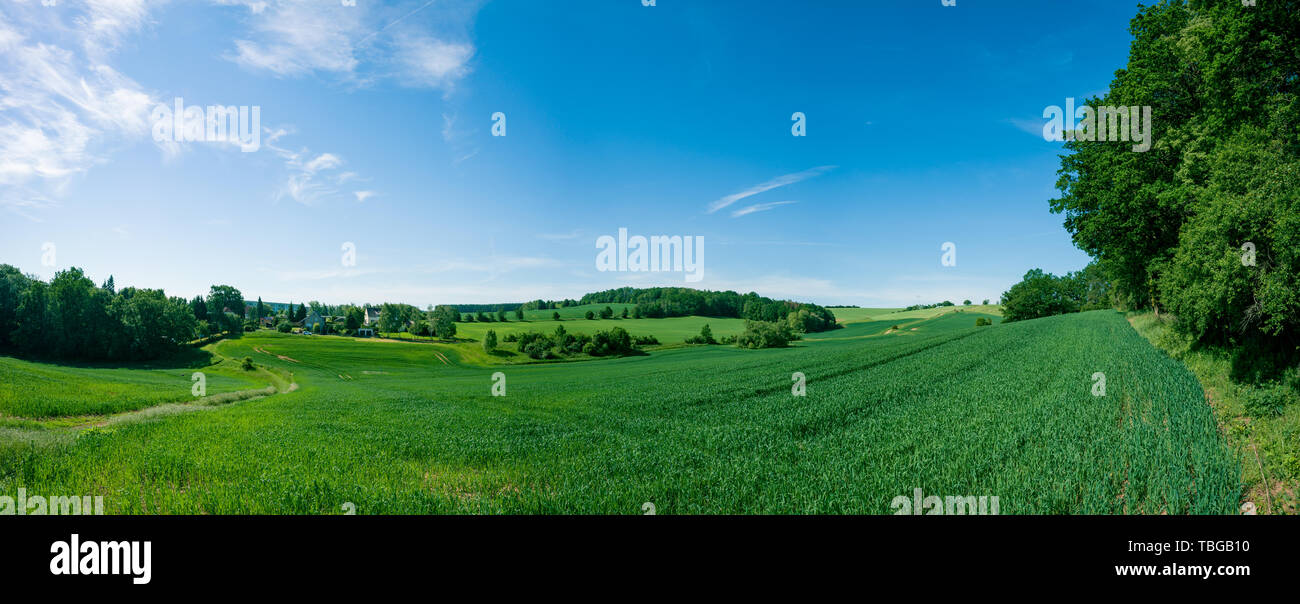 Panorama of summer green field. European rural view. Beautiful ...