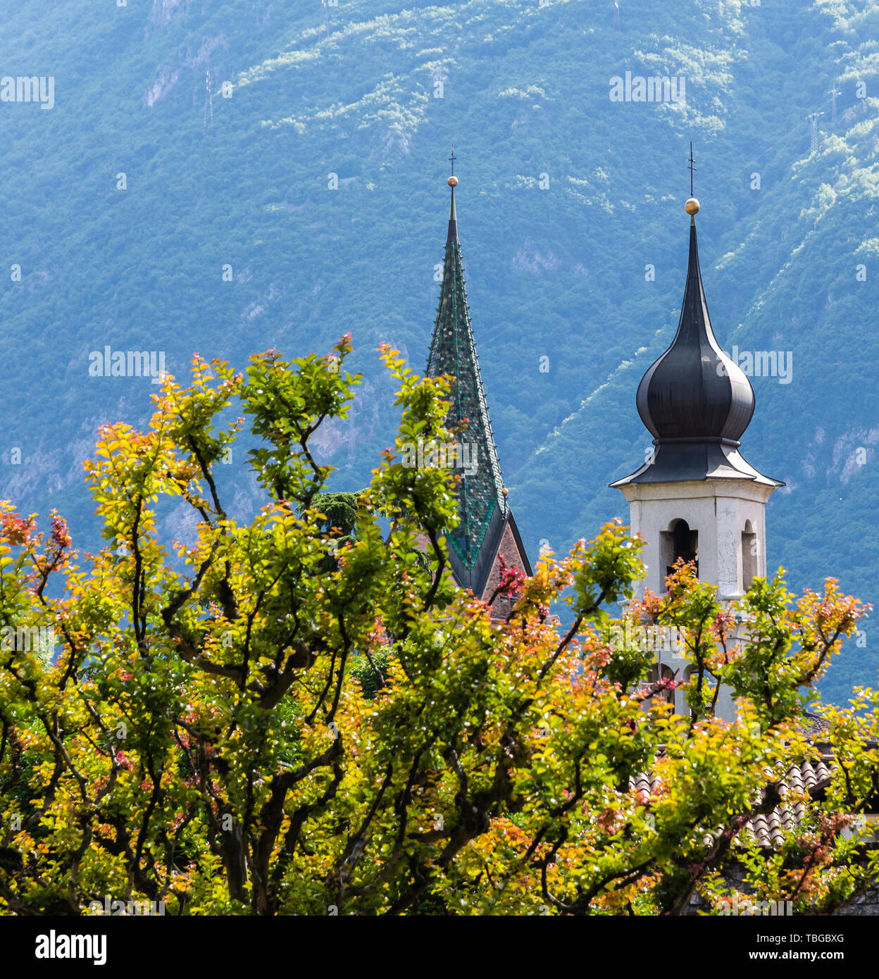 cityscape of Trento: suggestive view of the historic center of the city ...