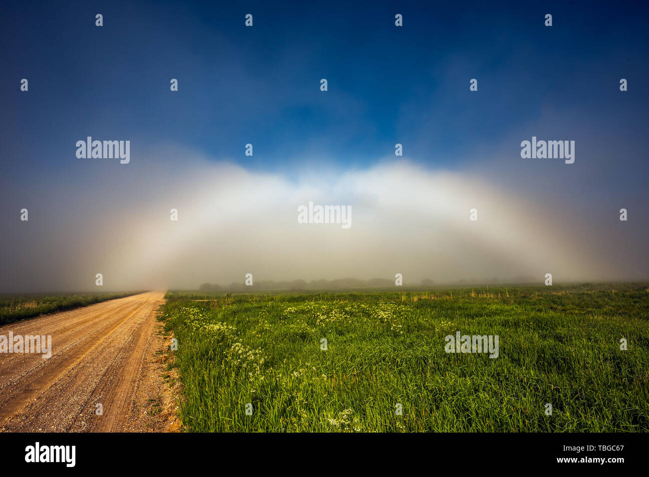 Fog rainbow hi-res stock photography and images - Alamy