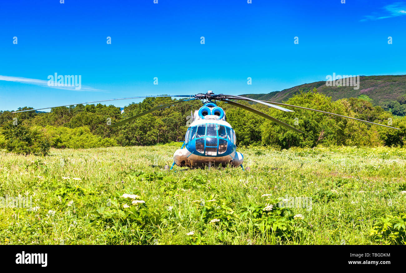 helicopter in the forest in the clearing Stock Photo - Alamy