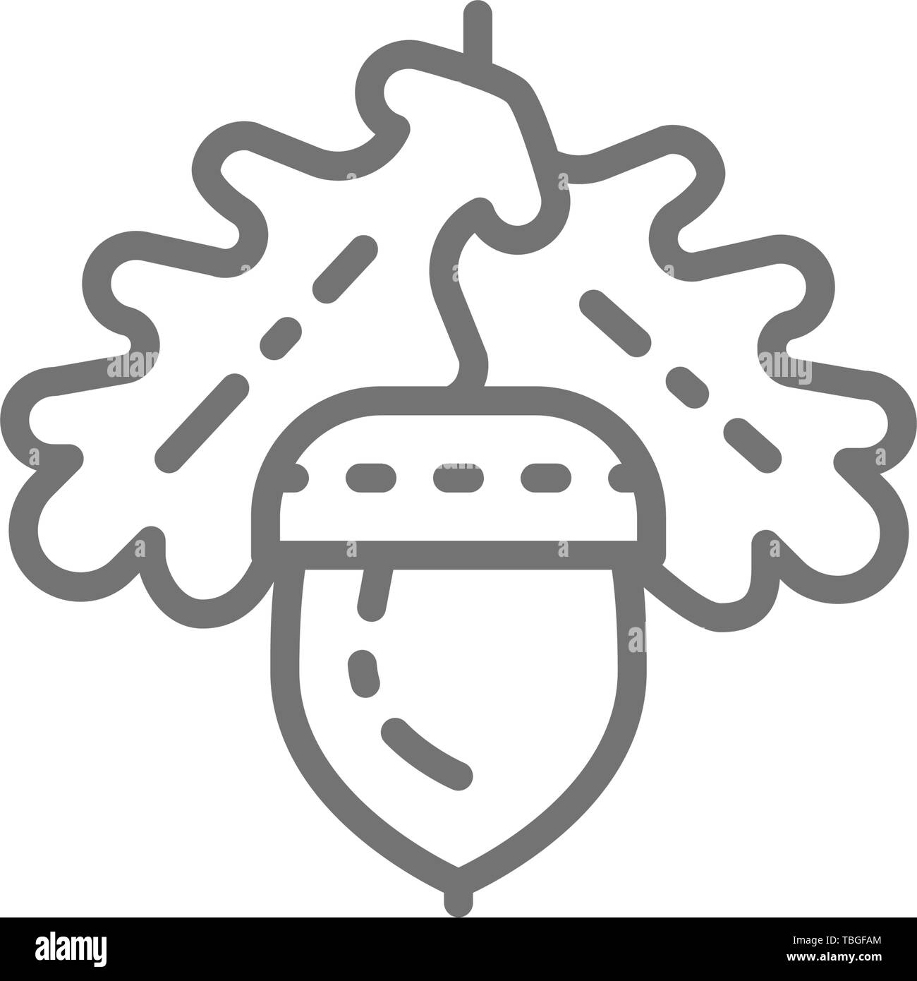 Acorn isolated on white Black and White Stock Photos & Images - Alamy