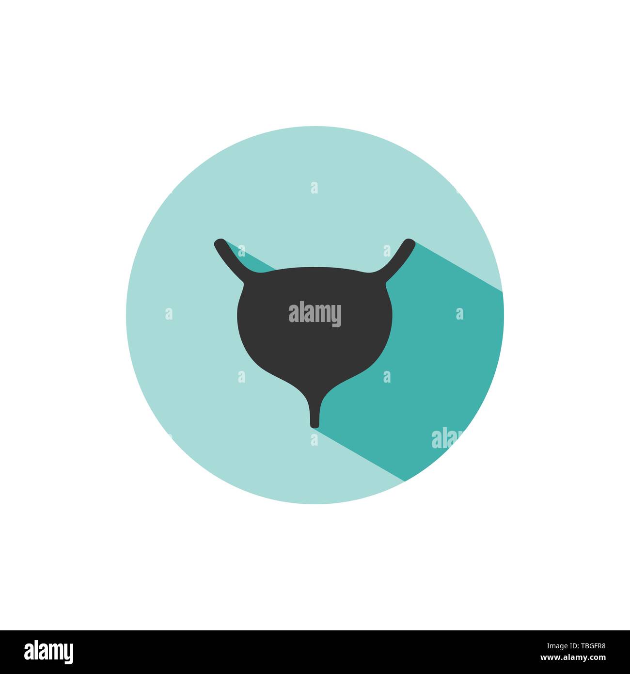 Human organ. Bladder icon with shade on green circle. Vector illustration Stock Vector Image ...