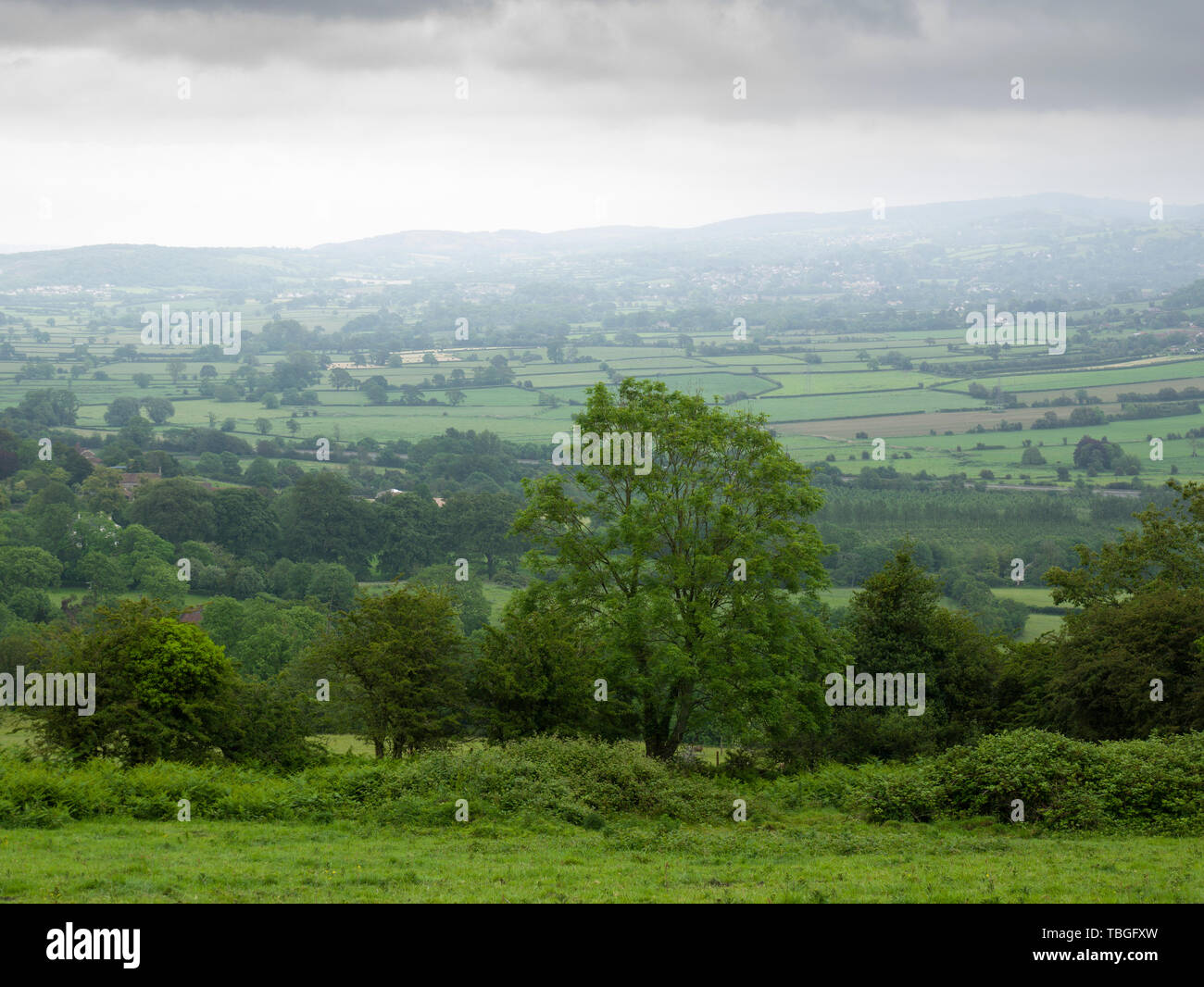 The view east from Loxton Hill in the Mendip Hills National Landscape ...