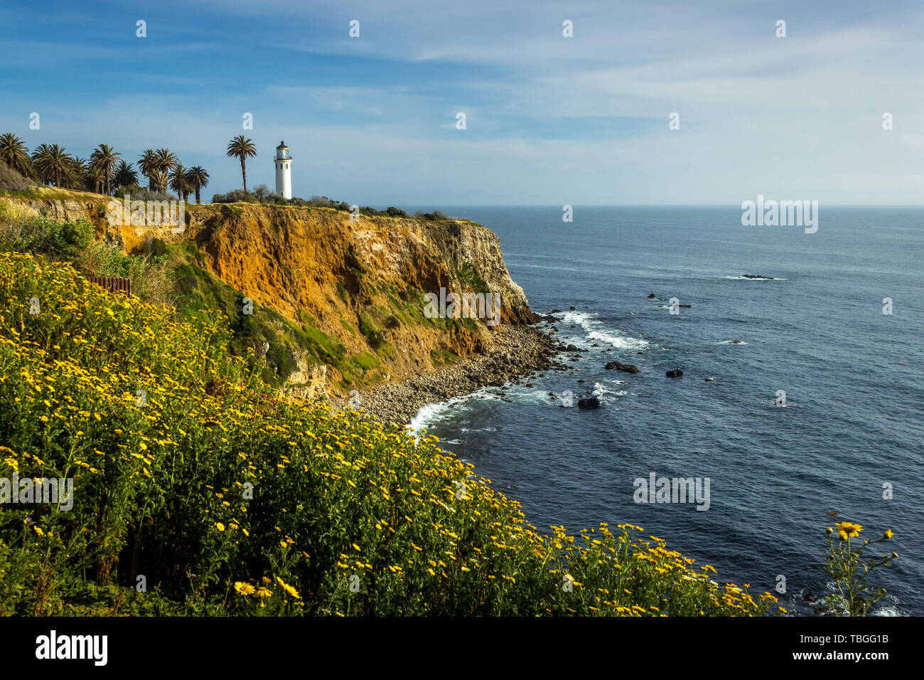 Point Vicente Lighthouse atop of tall cliff covered with beautiful wildflowers during the ...