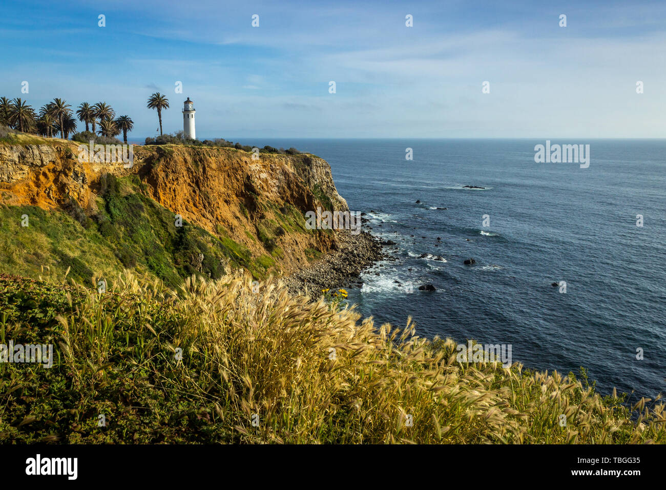 Point Vicente Lighthouse atop of tall cliff covered with beautiful wildflowers during the ...