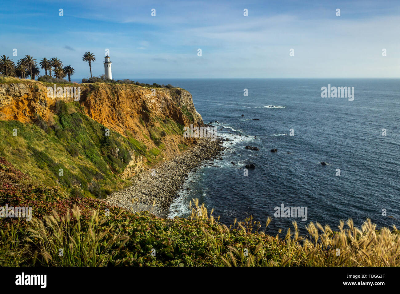 Point Vicente Lighthouse atop of tall cliff covered with beautiful wildflowers during the ...