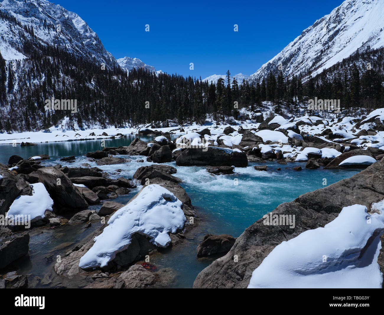 Lin zhi hi-res stock photography and images - Alamy