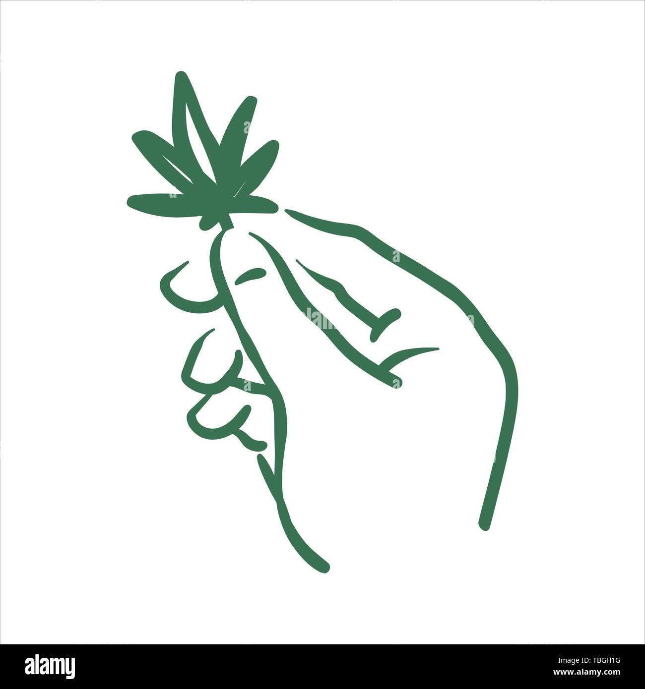 Vector hand drawn cannabis in hand illustration on white background ...