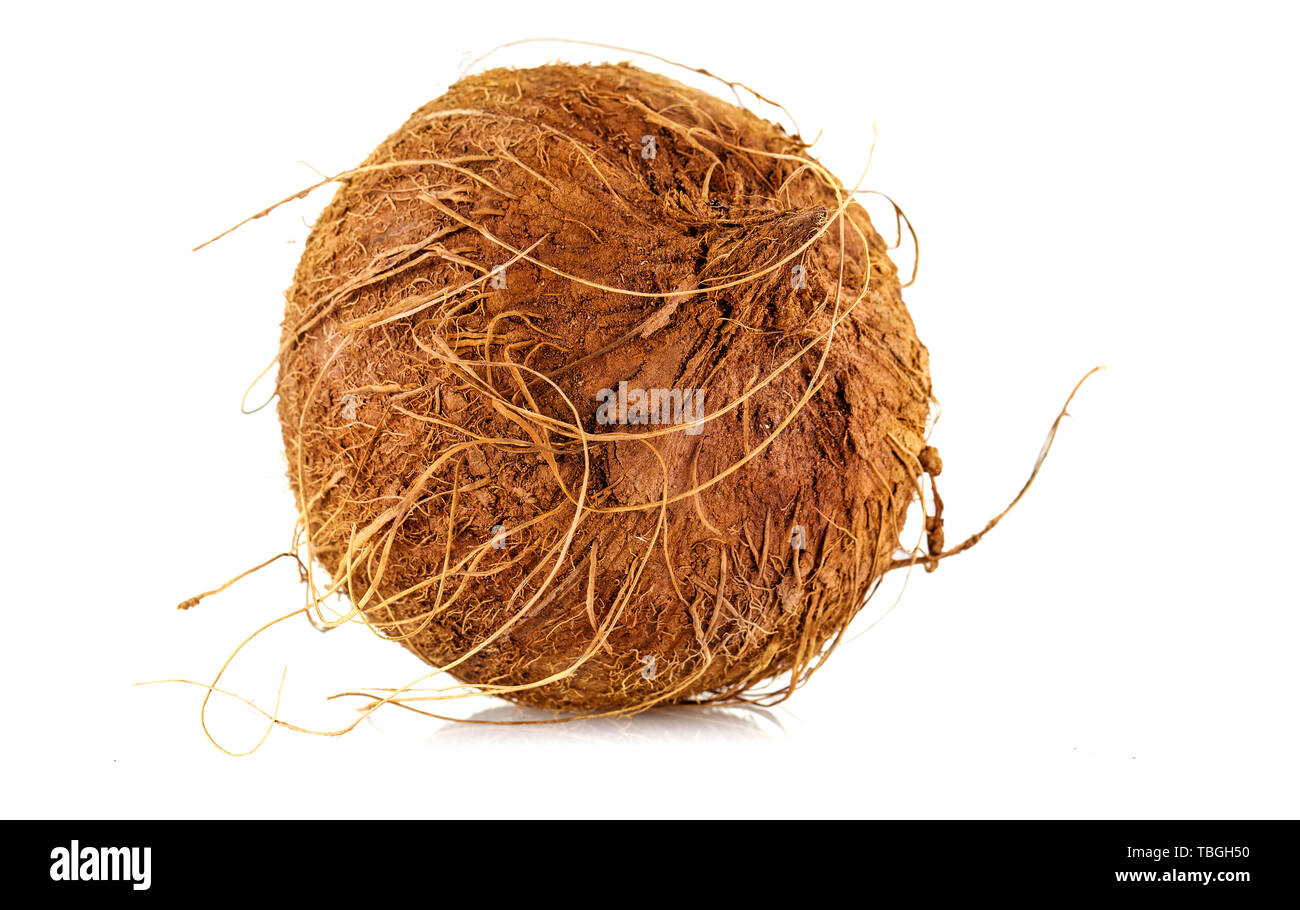 Coconut isolated on white Background. Clipping Path Stock Photo - Alamy
