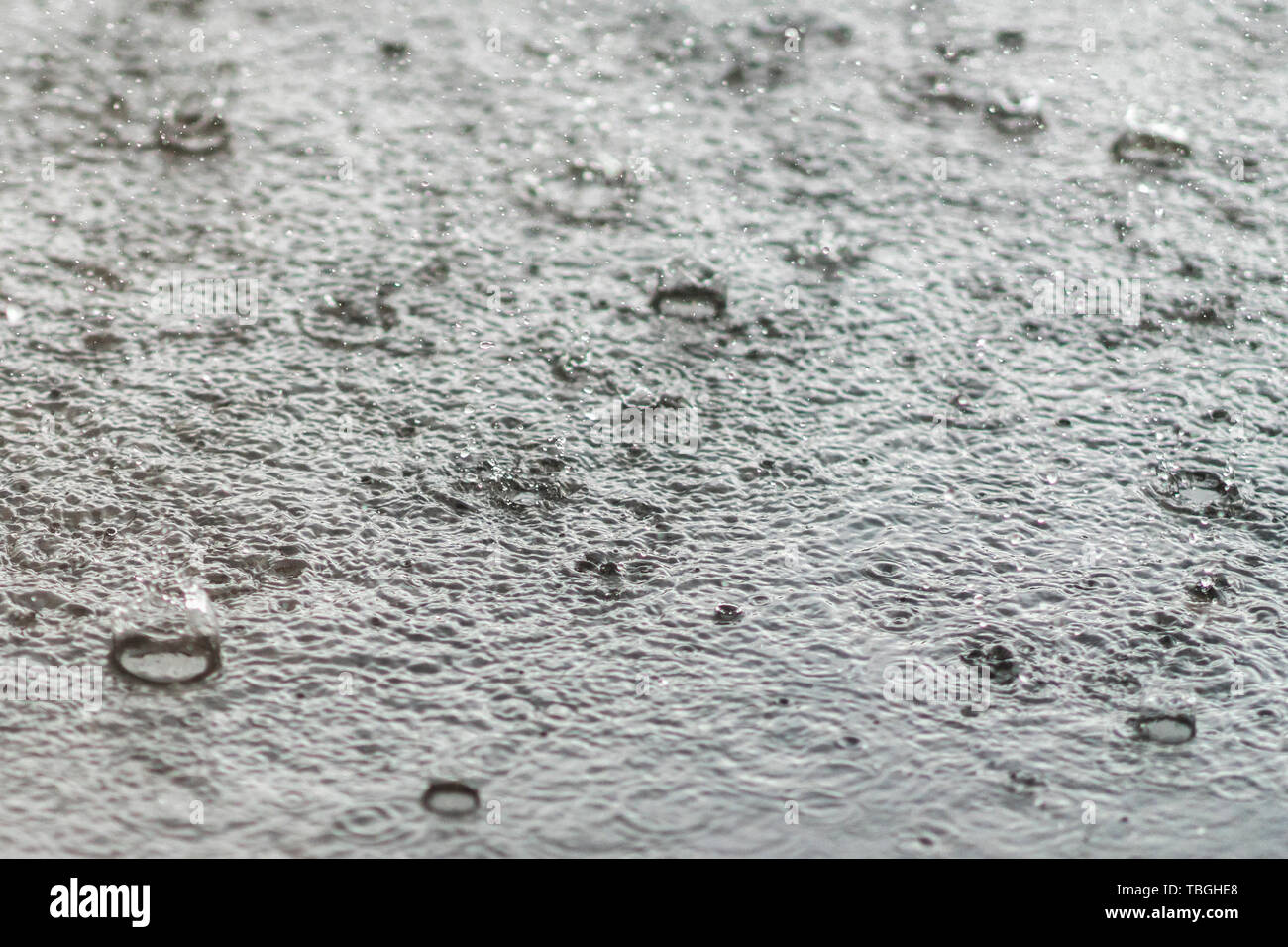 rain gray background. Drops on a puddle Stock Photo - Alamy