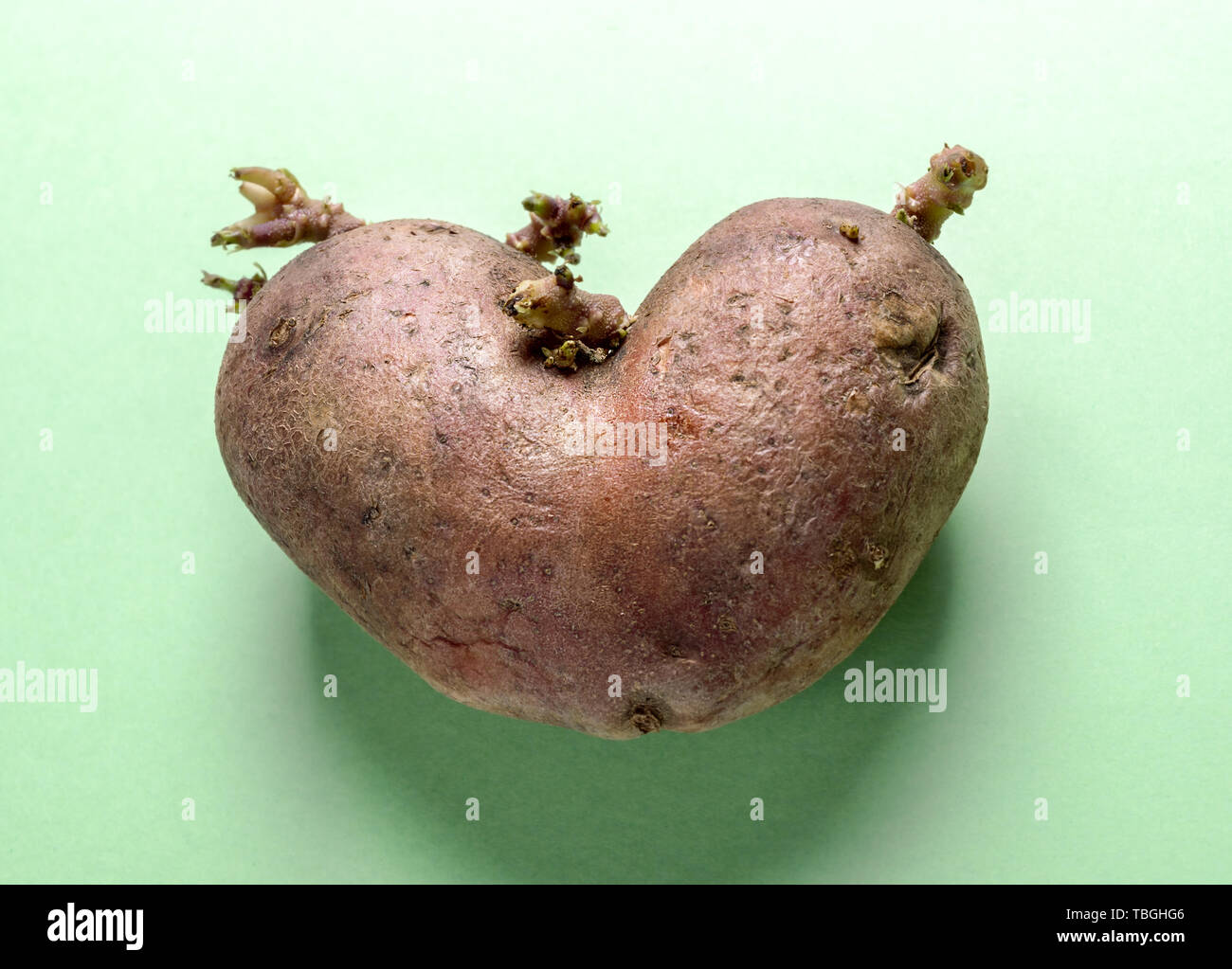 Weird potato hi-res stock photography and images - Alamy